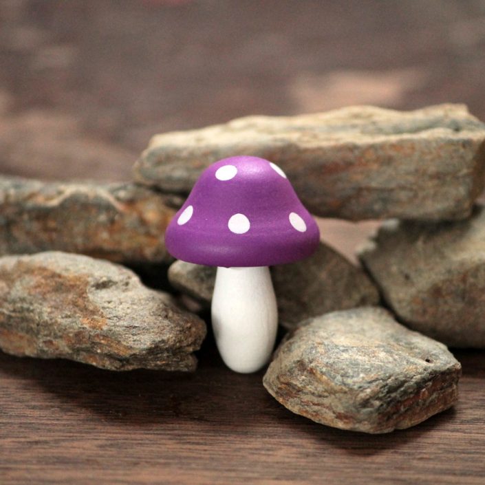 Technicolour Toadstools – Garden Fairy Creations