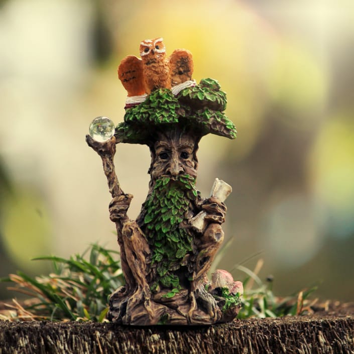 Old Man Tree Beard (4 varieties) – Garden Fairy Creations