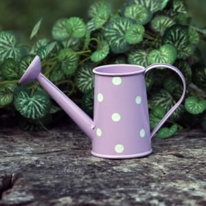 Fairy Watering Cans – 10cm – Garden Fairy Creations